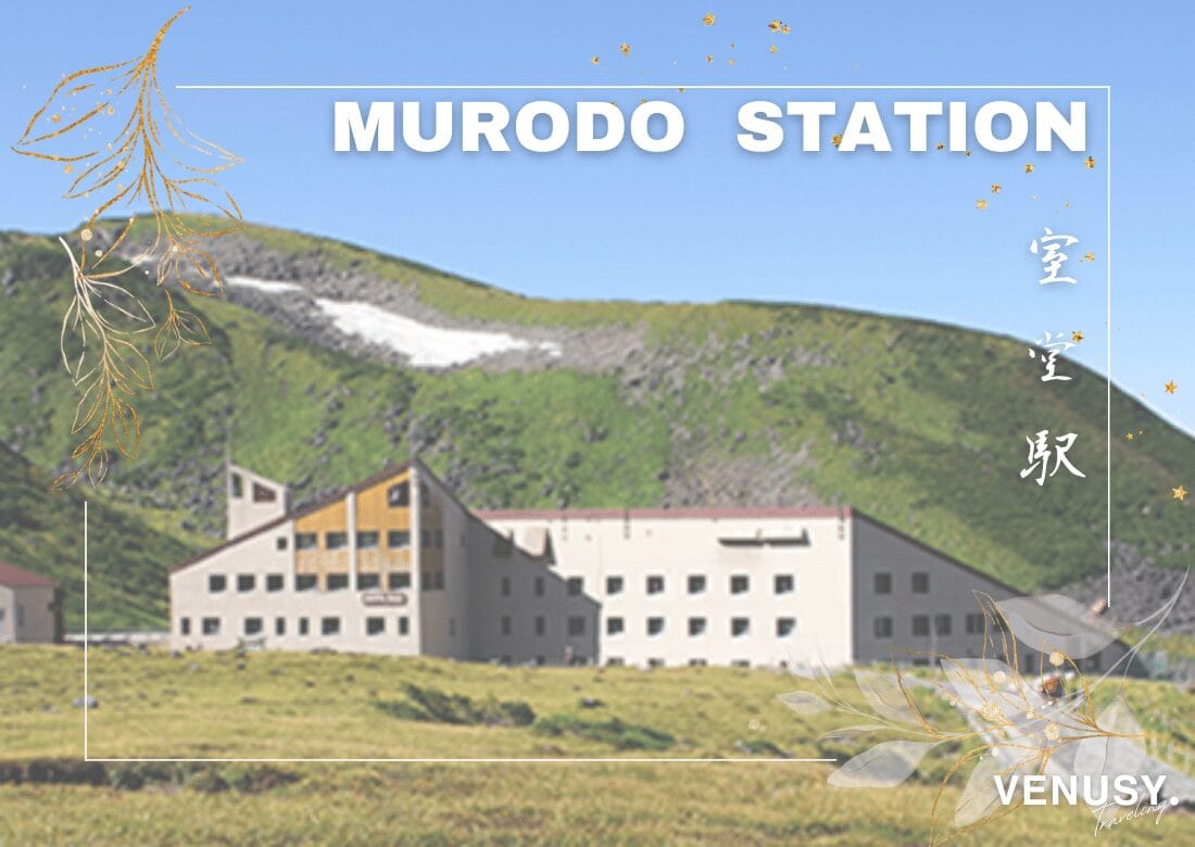 4月のアルペンルート：春の訪れと雪の壮大さを同時に叶える♡ - VENUSY. Travel